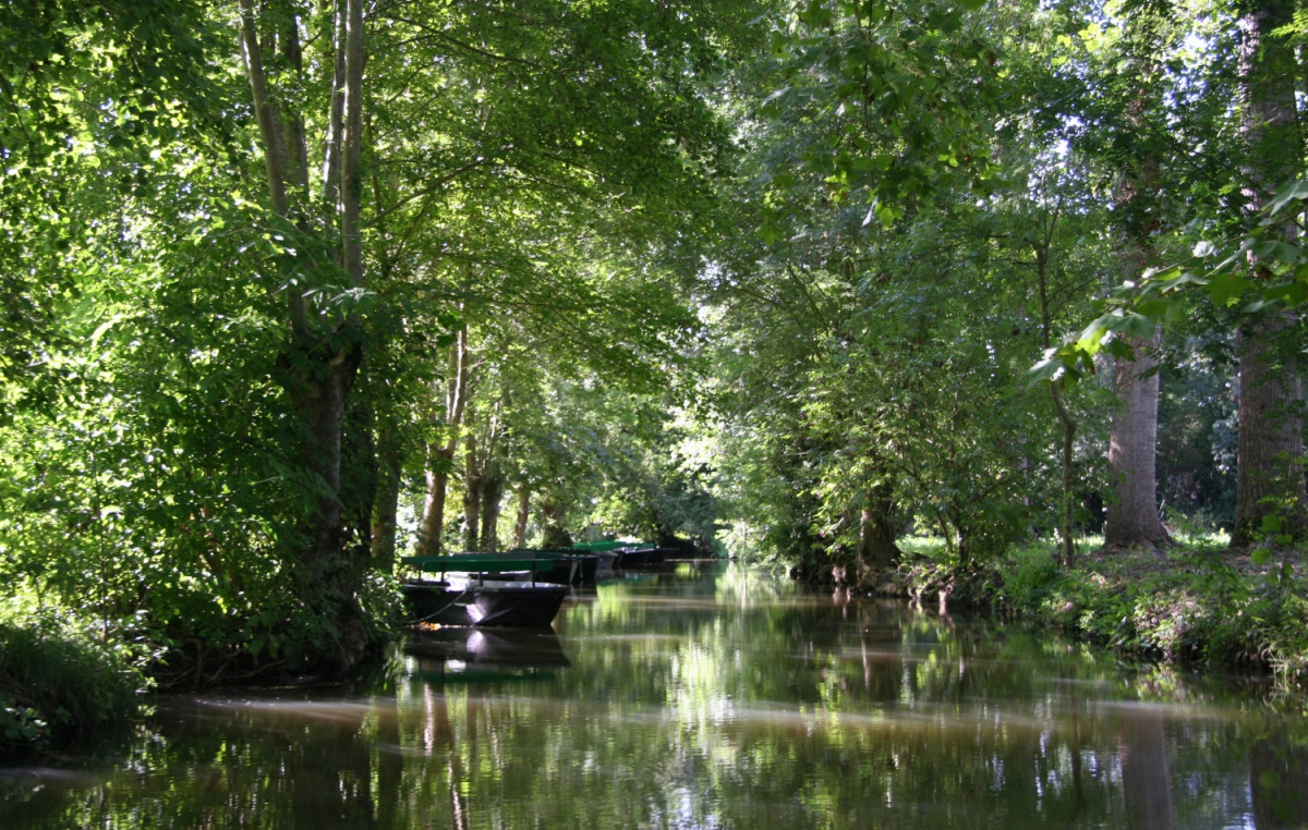 Camping de la Garette à Sansais – André does…